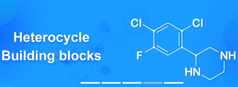 Buidling Blocks | Bide Pharmatech Co.,Ltd | CPHI Online